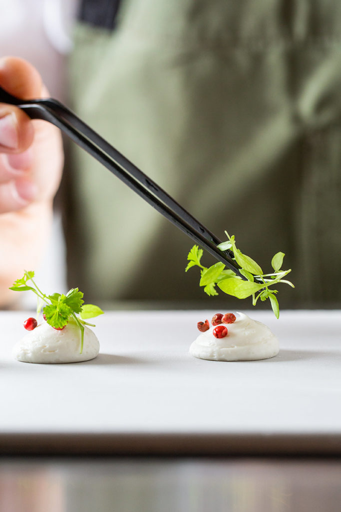 Sage·PolyScience - The Anti-Griddle® – toufood.com